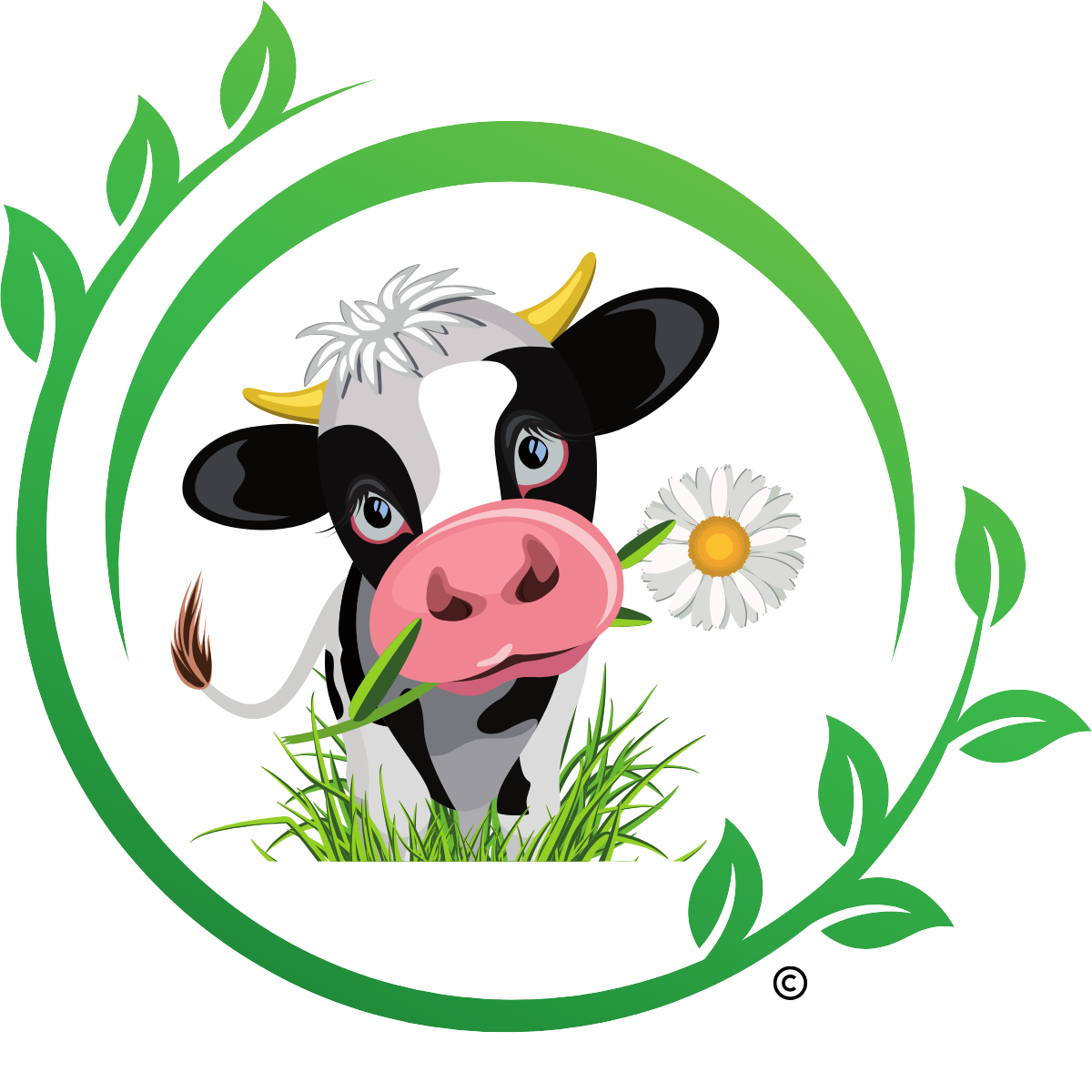 Pleading Cow Design – Graceful Pause